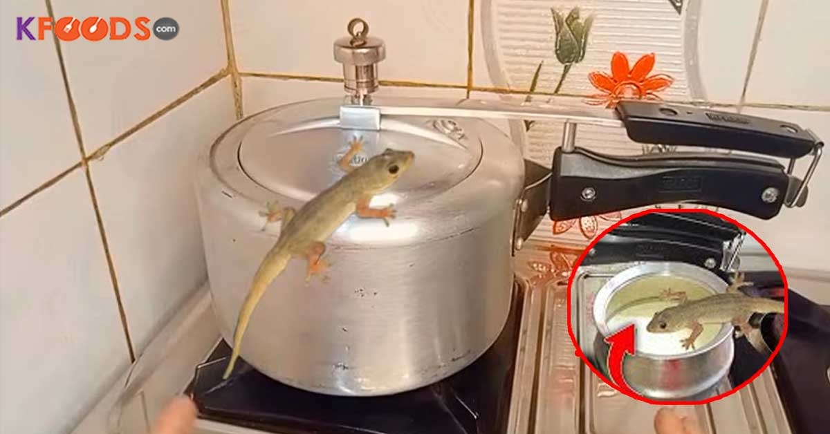 Chupkali Bhagane Ke Totkay in Urdu - Remedy, Benefits, Gharelo Tips ...