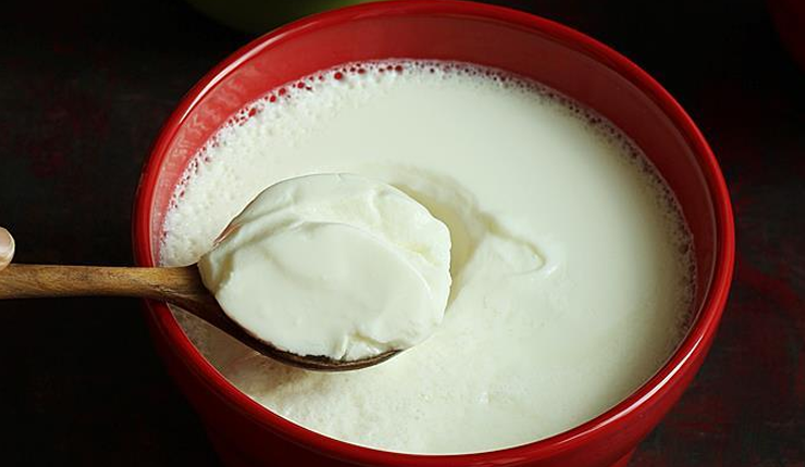 Ghar Main Dahi Jamane Ka Tarika in Urdu - Remedy, Benefits, Gharelo ...