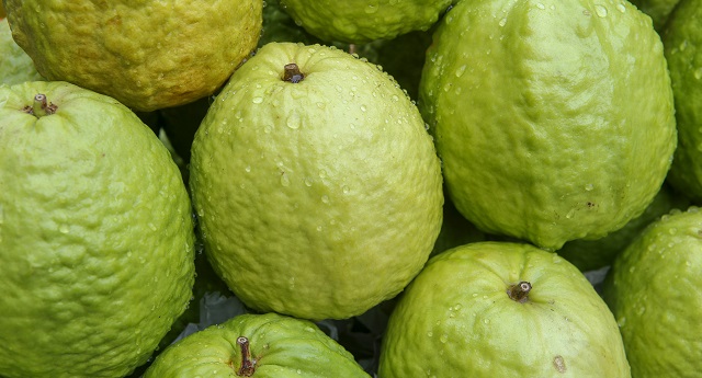 Amrood Ke Faide (Guava Benefits in Urdu), Amrood Ke Faide Urdu - Kfoods