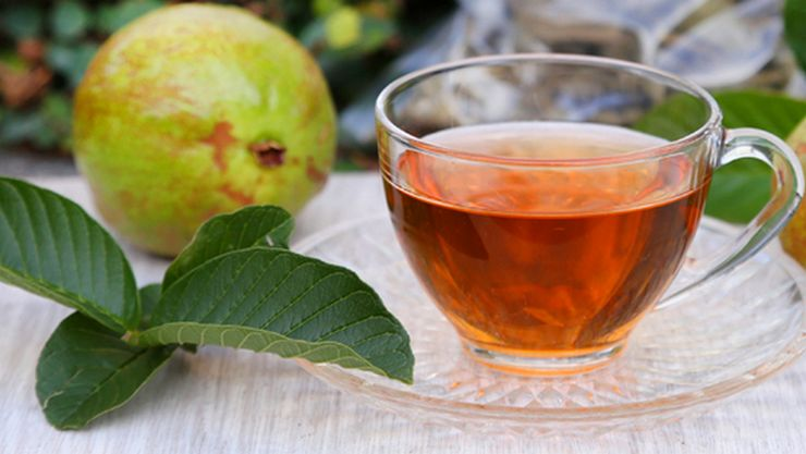 امرود کے پتوں کی چائے 10 امراض کے علاج میں معاون, Guava Leaves Tea ...