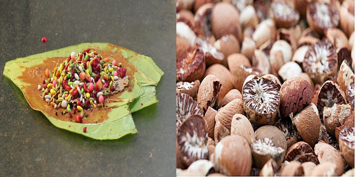 دادی جان کے پاندان میں موجود چھالیہ ۔۔ ابھی تک صرف اس کے نقصان سے واقف ...