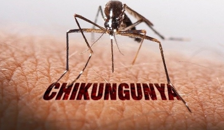 Chikungunya Virus In Urdu Prevention Treatment Diagnosis chikungunya-virus-in-urdu-prevention-treatment-diagnosis
