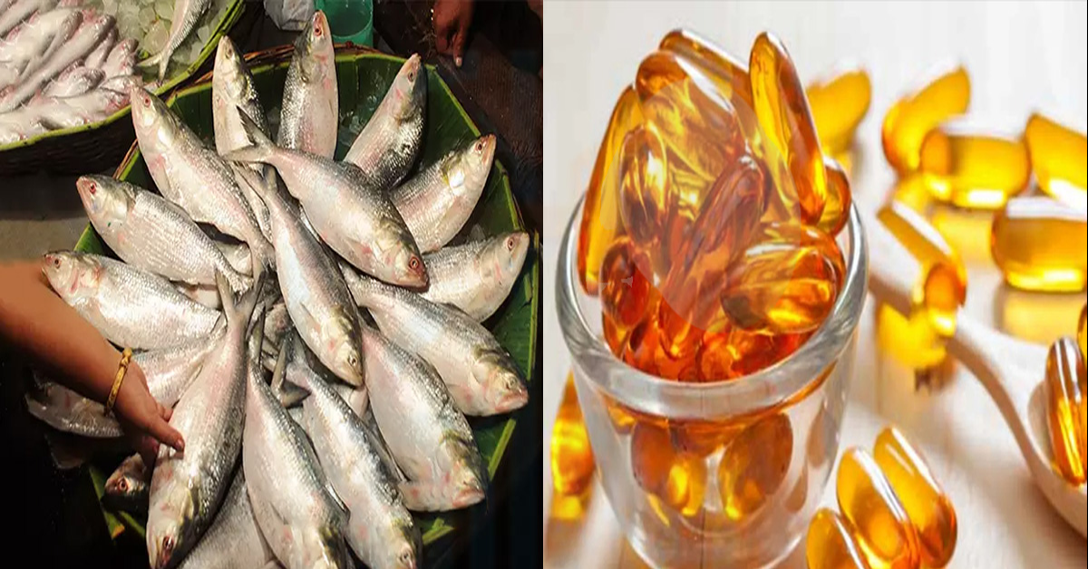 2 ہزار روپے میں ملنے والا اصلی مچھلی کا تیل اب گھر میں خود بنائیں ...
