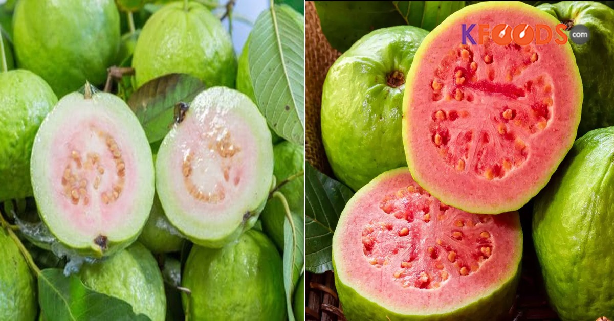 اندر سے لال رنگ کے امرود اگر نہیں کھاتے تو ابھی خرید لیں کیونکہ ۔۔ سفید ...