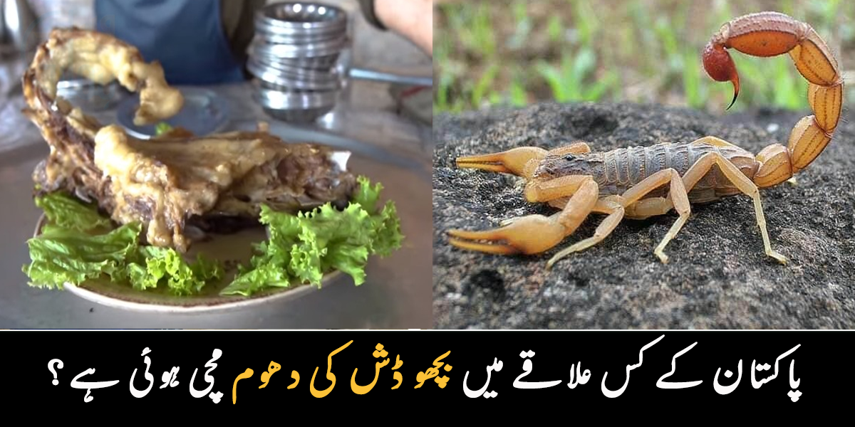 بچھو کی دُم بھی ہوتی ہے لیکن ۔۔ جانیے پاکستان کی اس خاص ڈش کے بارے میں ...