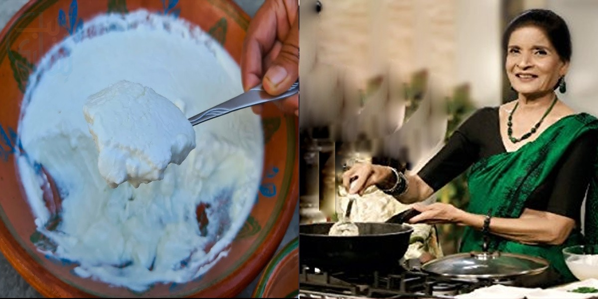 دہی کھٹی ہونے سے بچانے کا طریقہ جس سے رہے یہ 7 دن تک میٹھی، جانیں زبیدہ ...