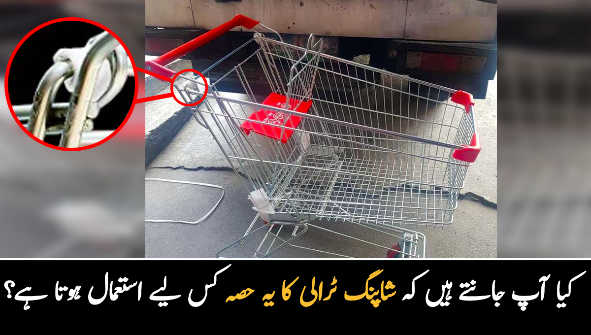 کیا آپ جانتے ہیں کہ شاپنگ ٹرالی کا یہ حصہ کس لیے استعمال ہوتا ہے؟ وہ ...